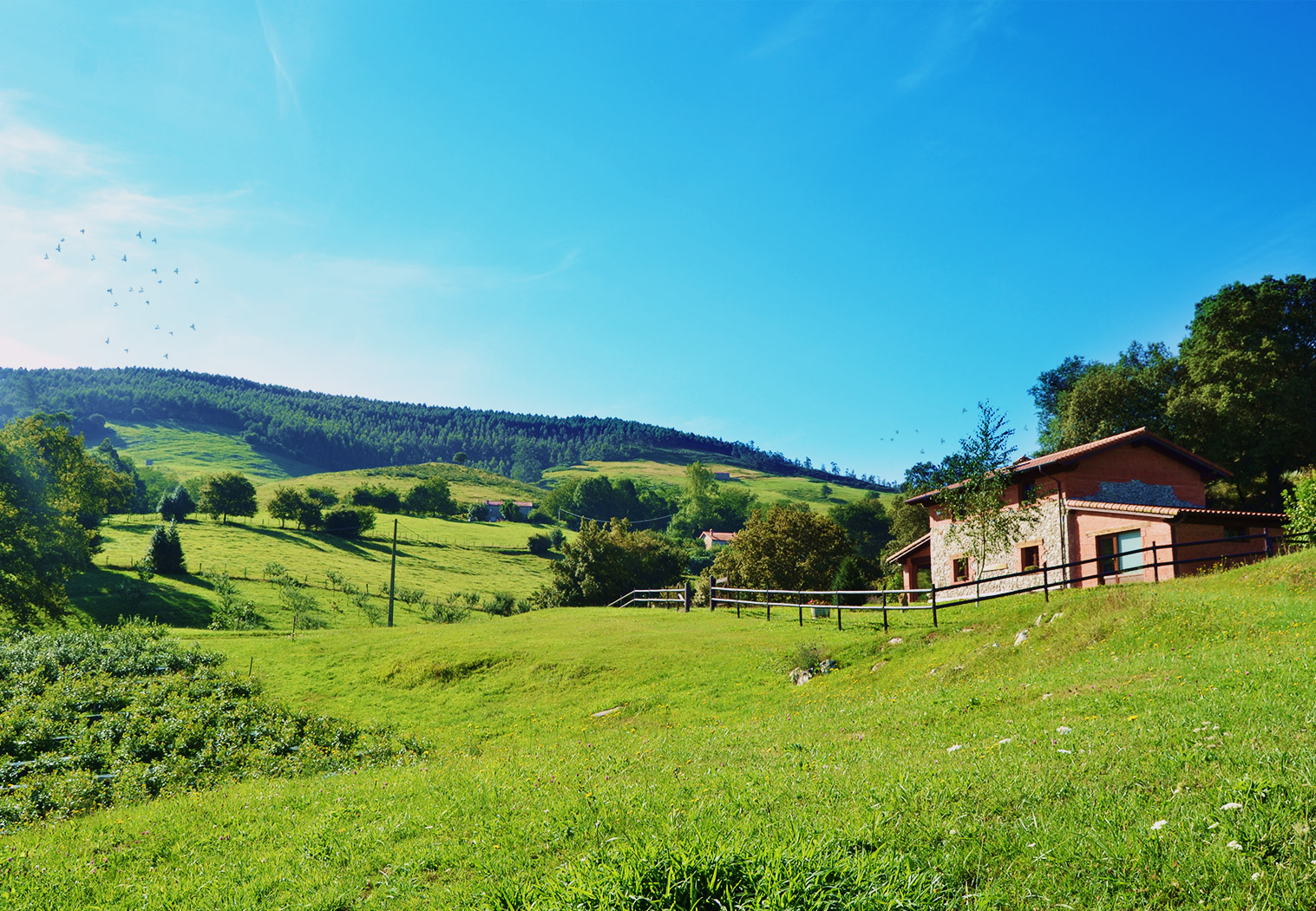 Inicio - El Valle de Machucón