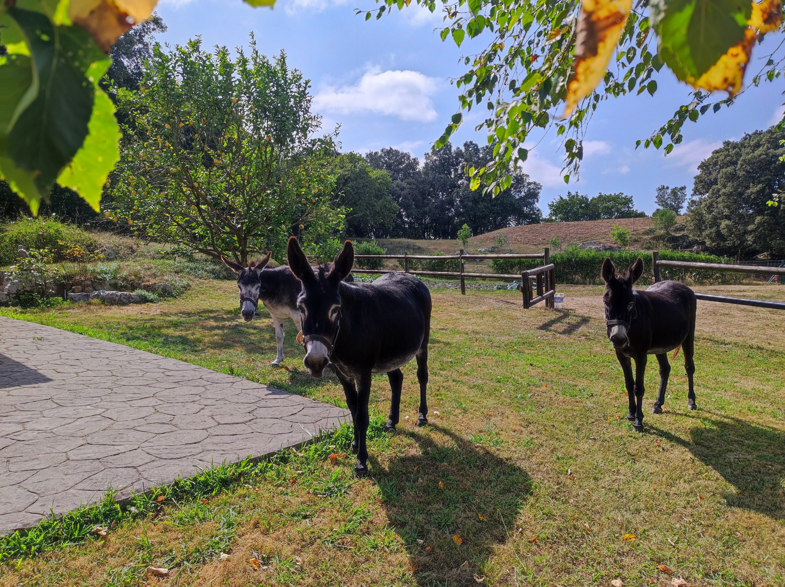 Inicio - El Valle de Machucón
